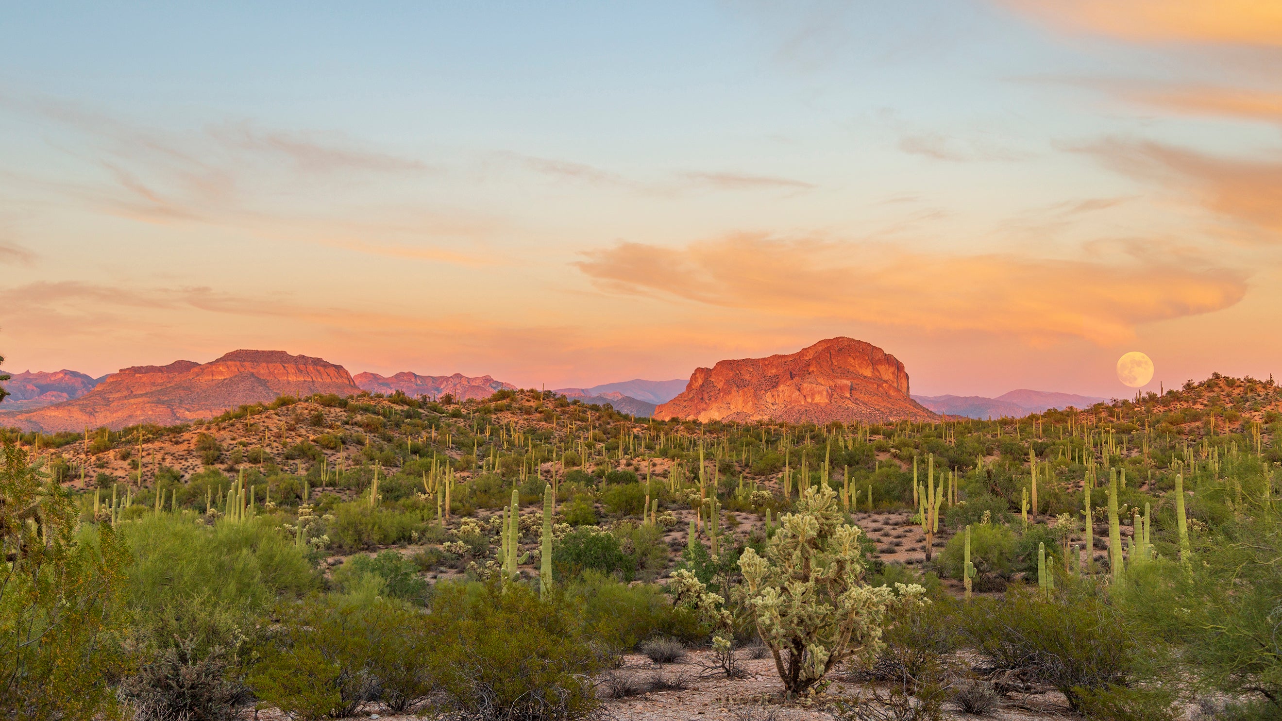 Janell Evelyn Gallery – Casa de Baca Studios